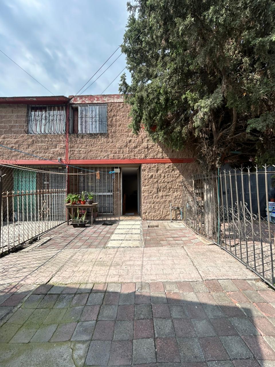 CASA LA PALMA – Web Corona